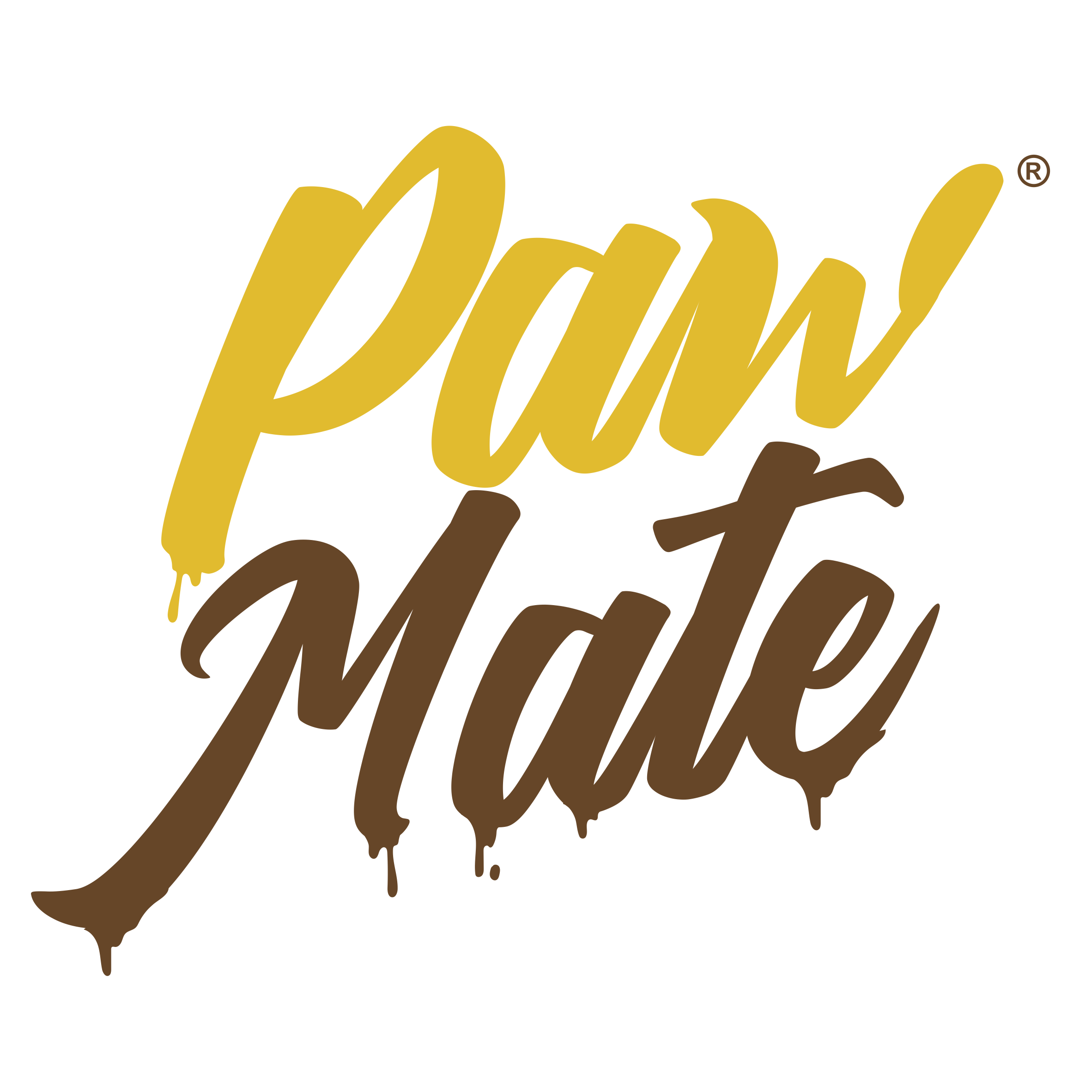 Paw Mate – Mud Mate
