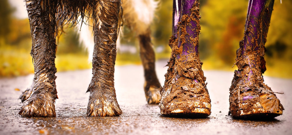 Mud Mate - The Ultimate Portable Outdoor Cleaning kit